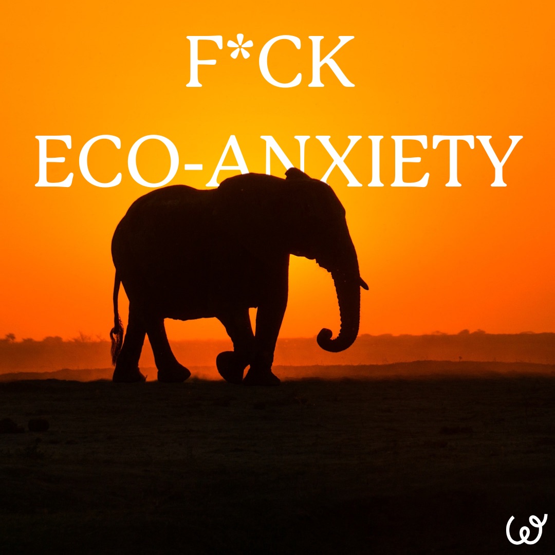 Eco-Anxiety | 25 Proven Actions that Help Overcome this Feeling