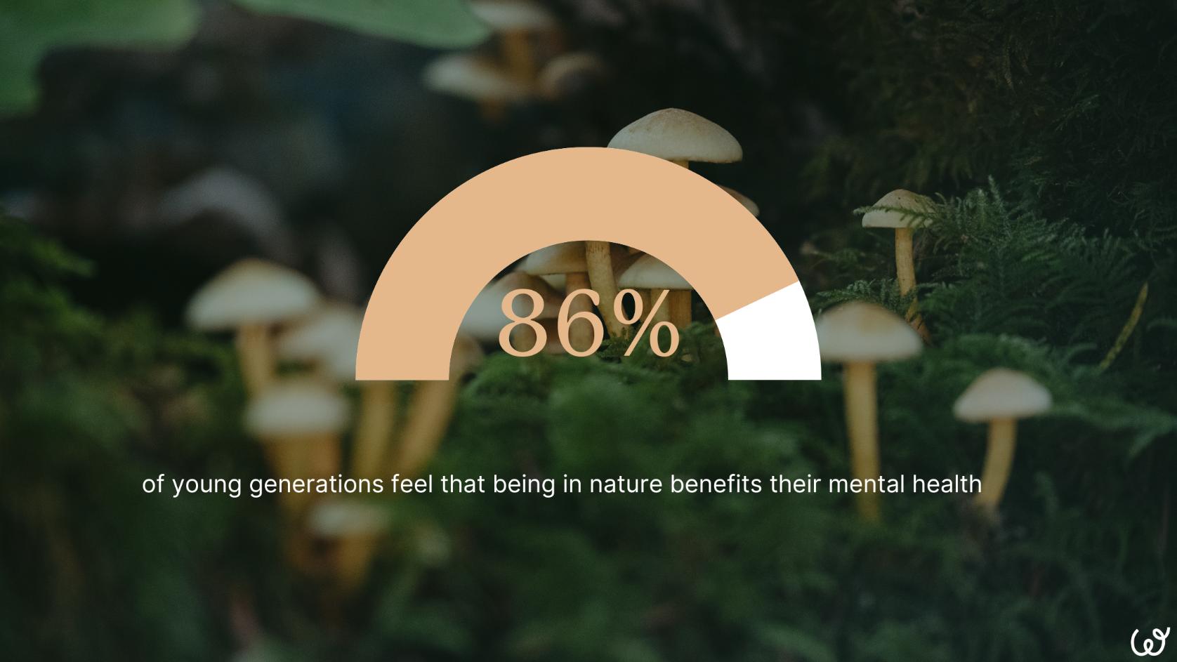Eco-Anxiety Statistics: Wild Numbers to Know About