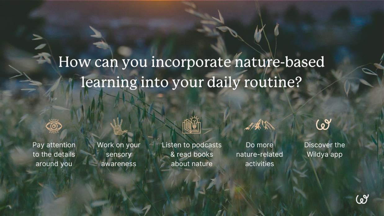 Nature-Based Learning: Unlock Personal & Professional Growth