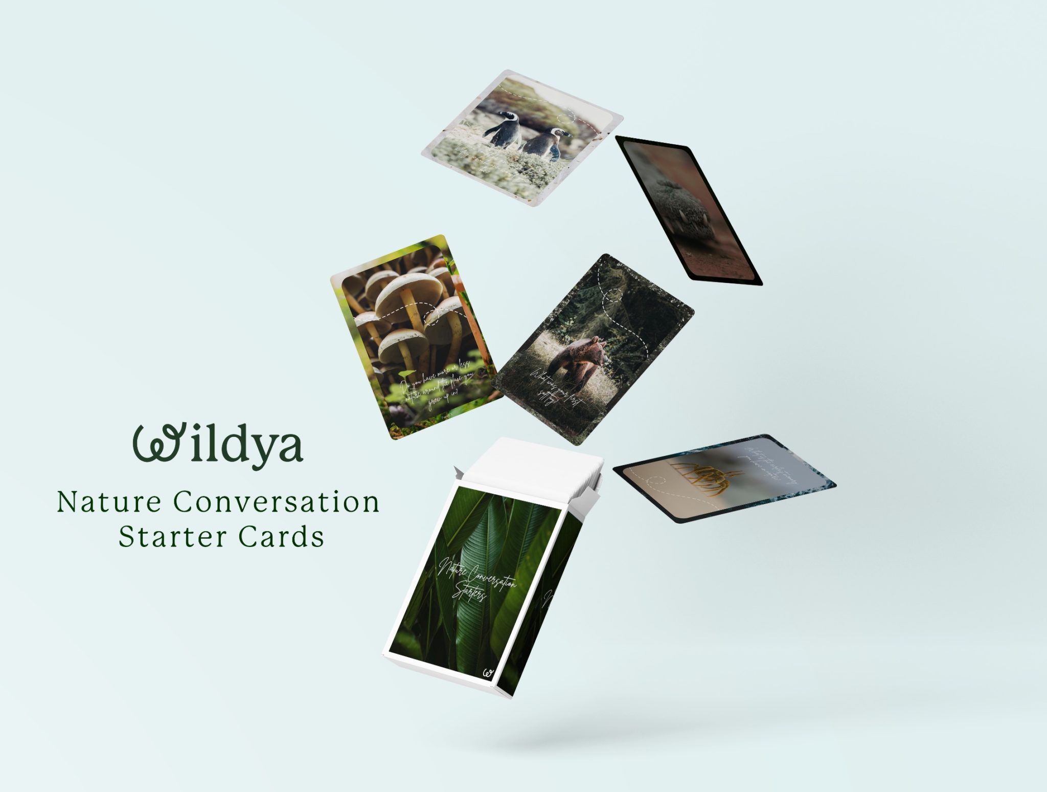 Nature Conversation Starter Cards - Wildya
