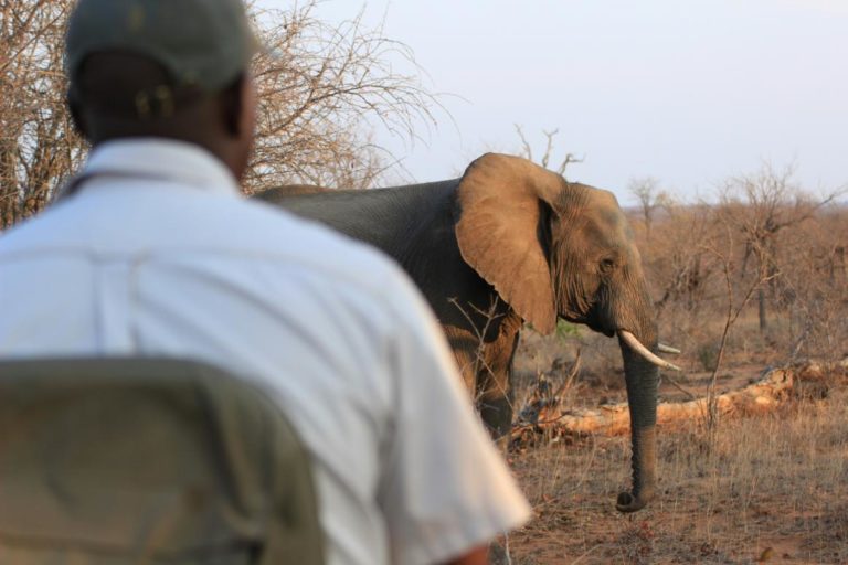 36 Nature Conservation Jobs to Build a Career & A Wilder World