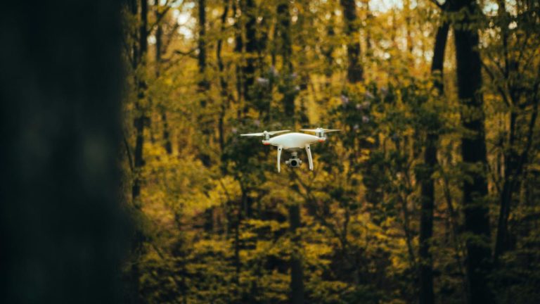 36 Nature Conservation Jobs to Build a Career & A Wilder World