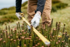 36 Nature Conservation Jobs to Build a Career & A Wilder World