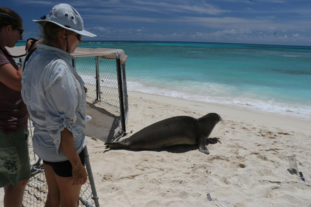 14 Nature Jobs that Pay Well: Concrete Examples & Wild Tips