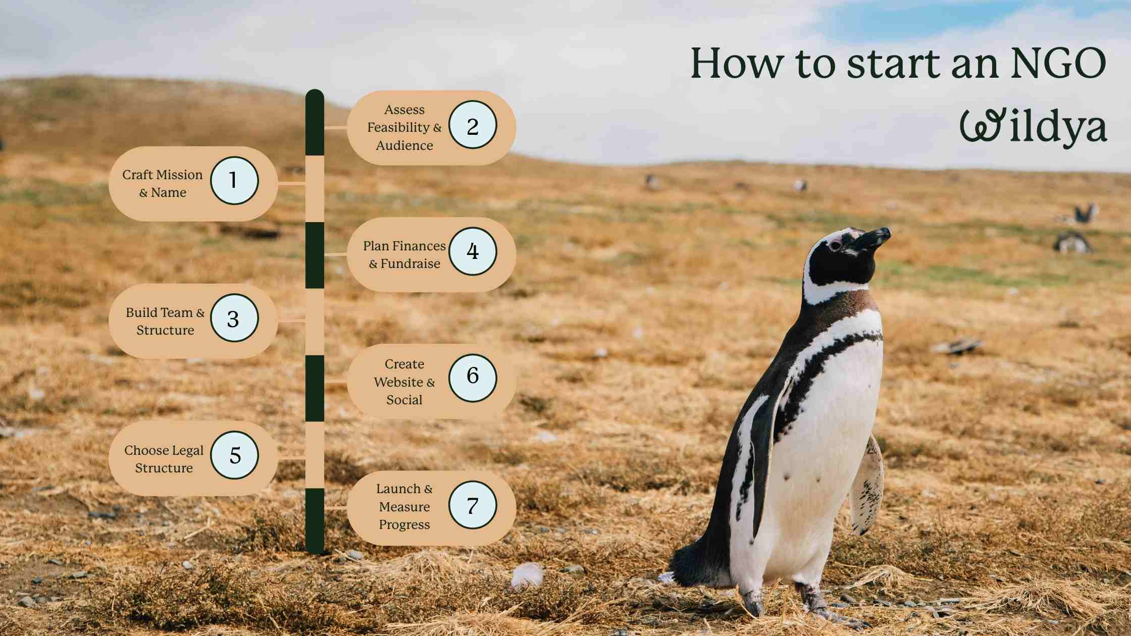 How to start an NGO: A step-by-step guide for ecopreneurs